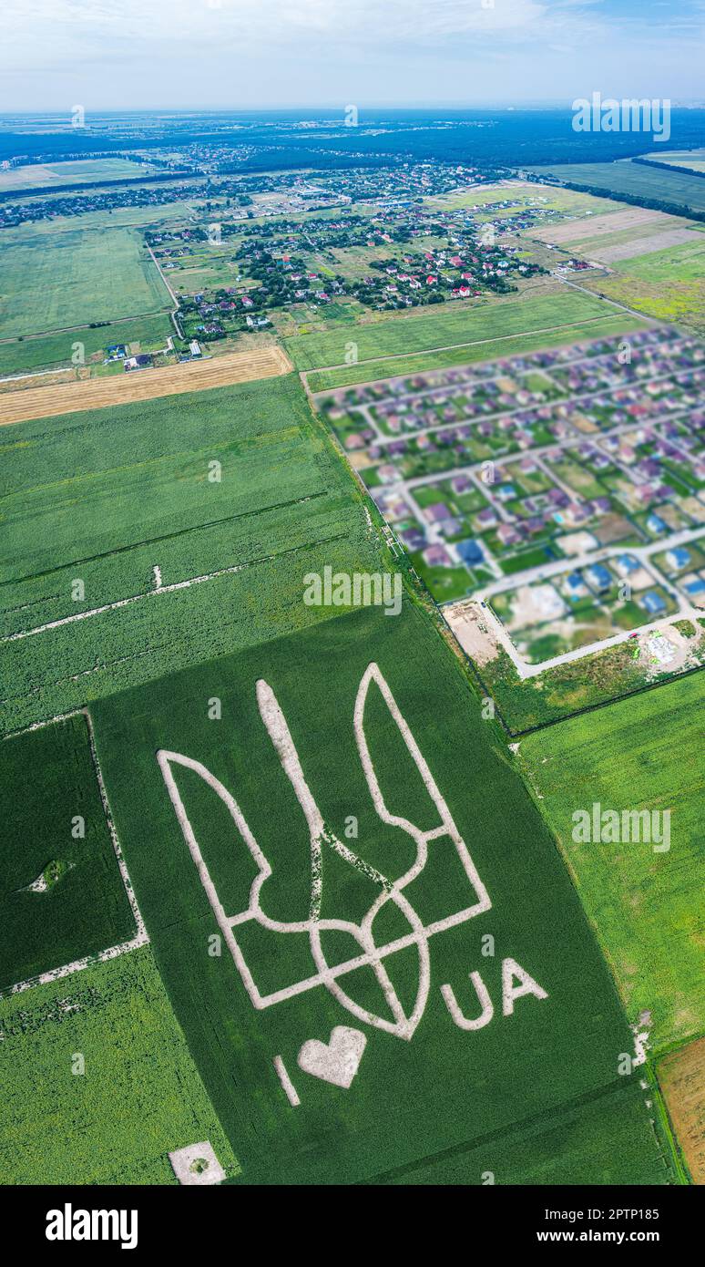 Giant symbol of the country of Ukraine is a trident created by corn ...