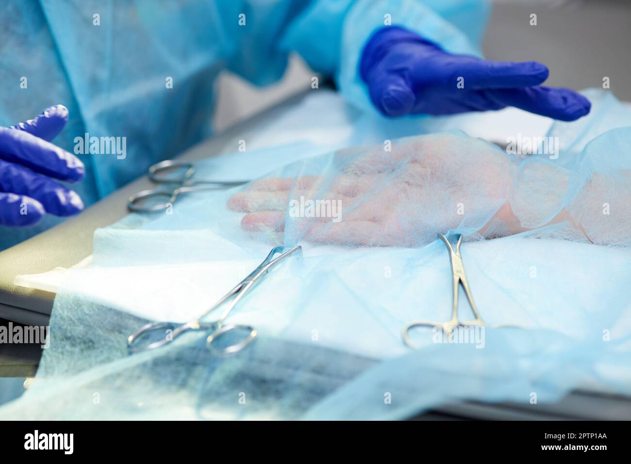 Close-up image of doctor's hands in protective gloves, surgeon leading ...