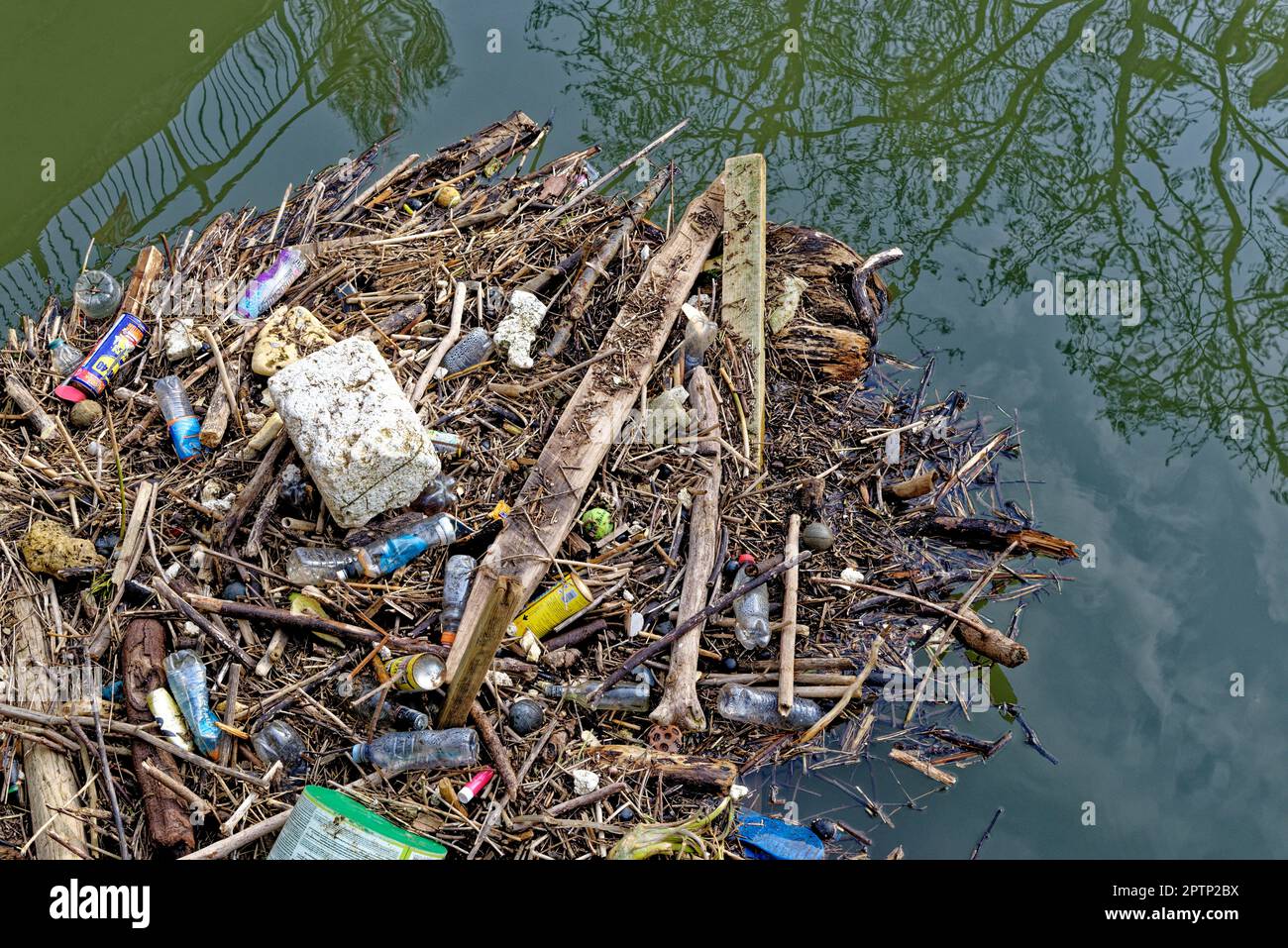 Rubbish floating in the Avon river. Rubbish collecting in stagnant ...