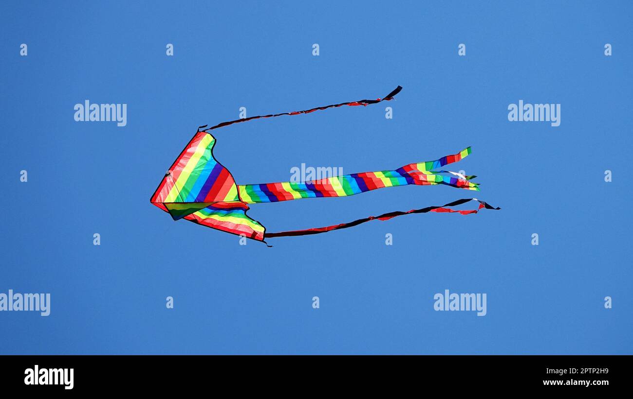 A single multicolor rainbow color handmade DIY kite flies isolated in ...