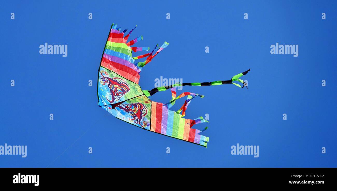 A single multicolor rainbow color handmade DIY kite flies isolated in ...