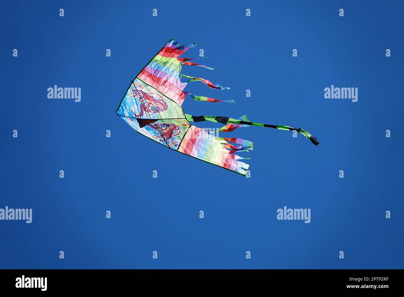 A single multicolor rainbow color handmade DIY kite flies isolated in ...