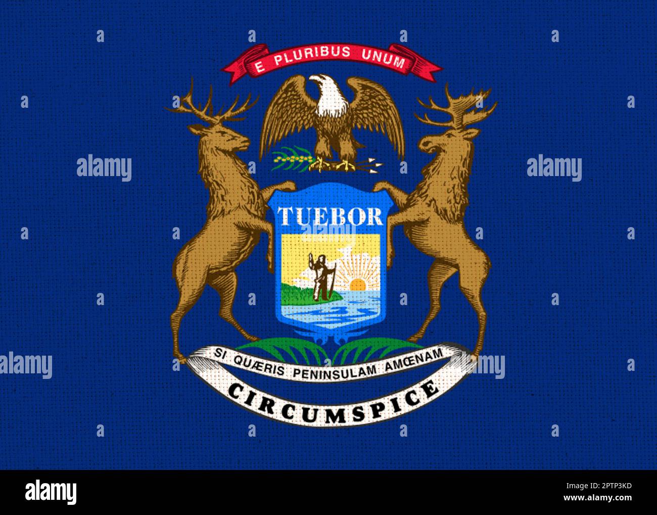 Flag of American state Michigan. Flags of the U.S. states Fabric Flag ...