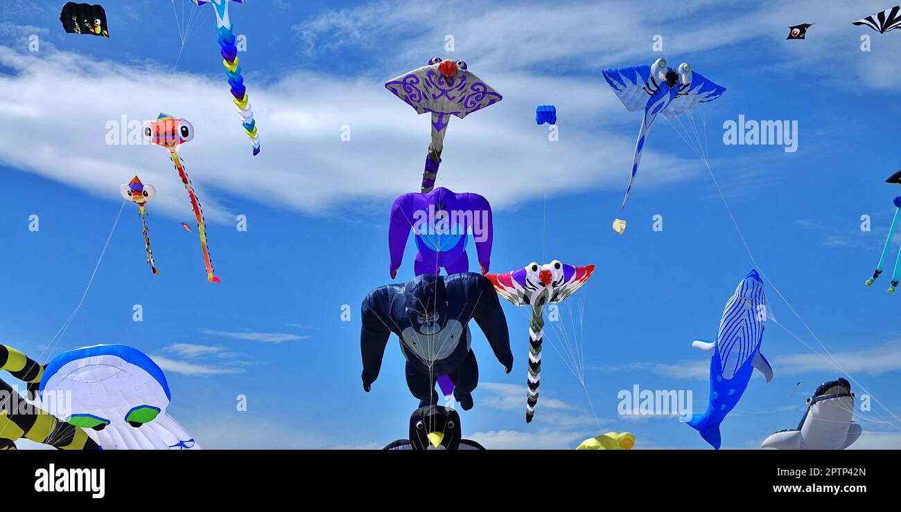 Kites festival italy hi-res stock photography and images - Alamy