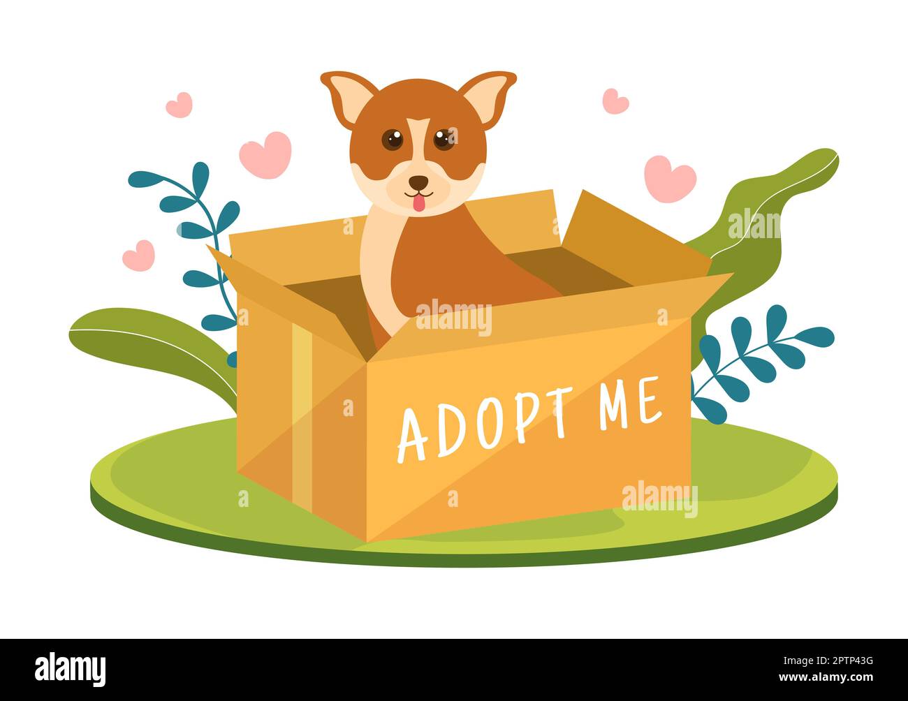 Adopt a Pet From an Animal Shelter in the Form of Cats or Dogs to Care ...