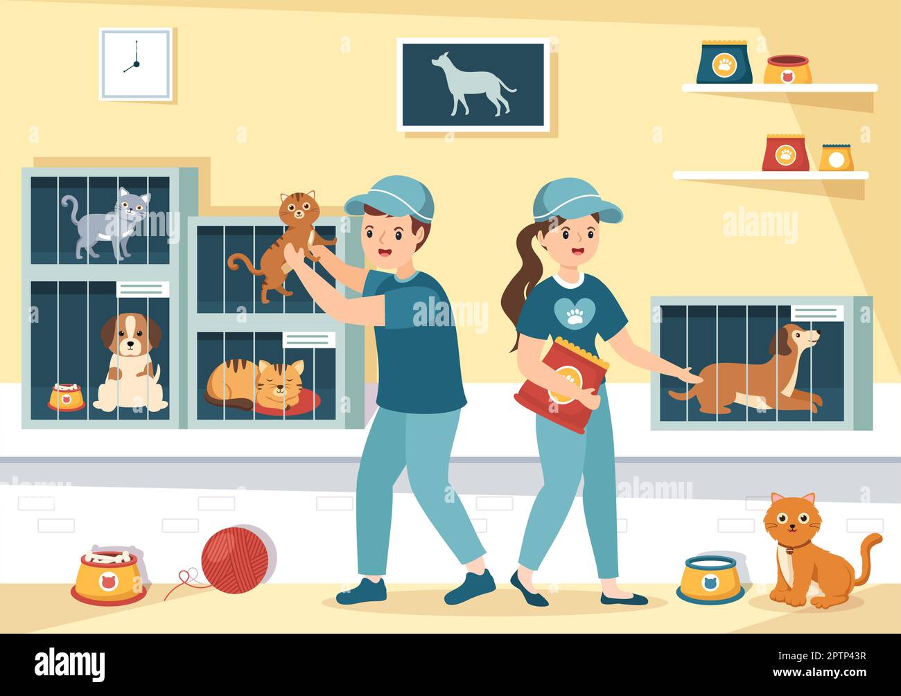 Adopt a Pet From an Animal Shelter in the Form of Cats or Dogs to Care ...