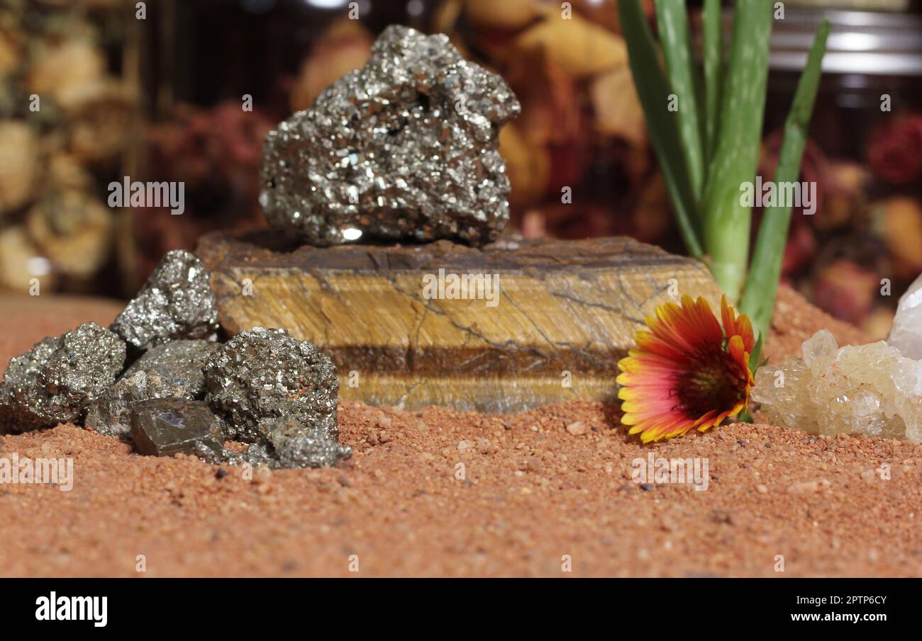 Flower With Pyrite Rocks and Crystals on Australian Red Sand Stock ...