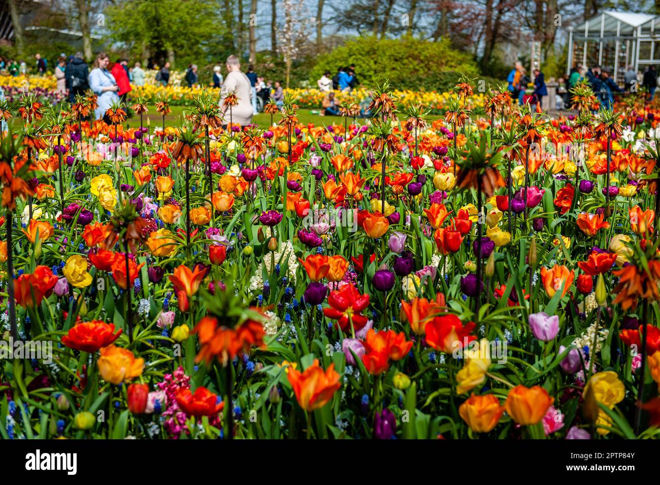 April 23rd, Lisse. Keukenhof is also known as the Garden of Europe one ...
