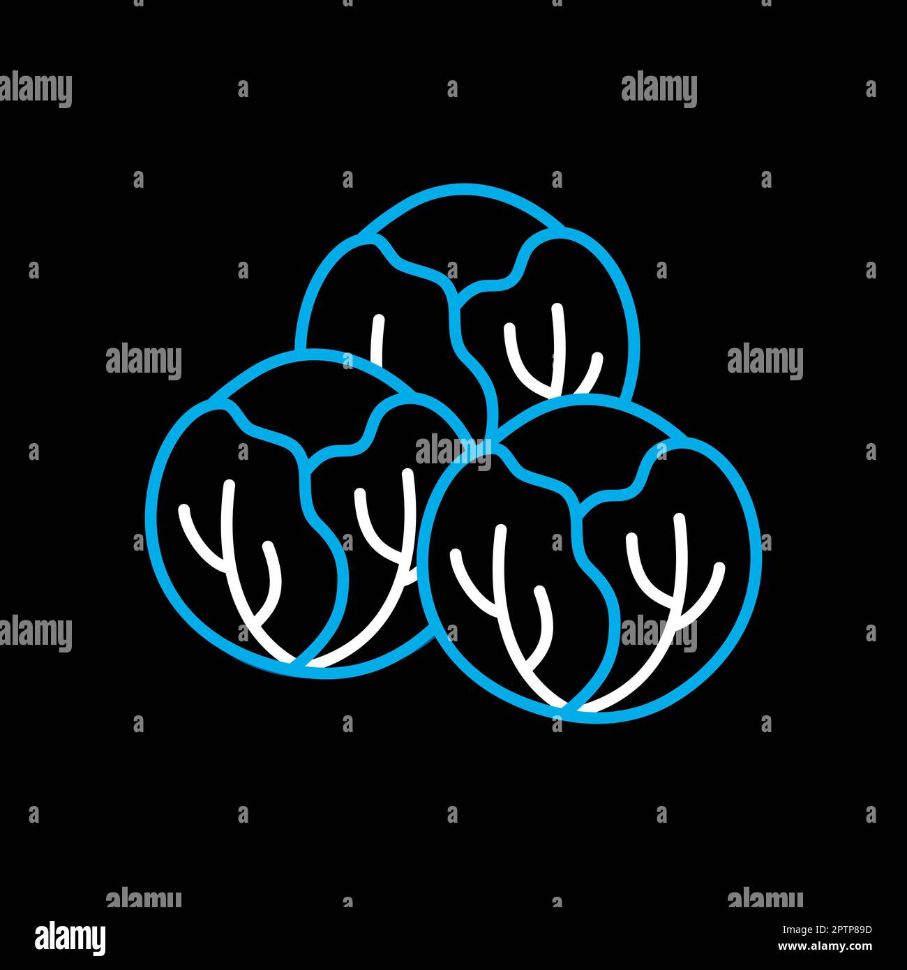 Brussels sprouts isolated design vector on black background icon ...