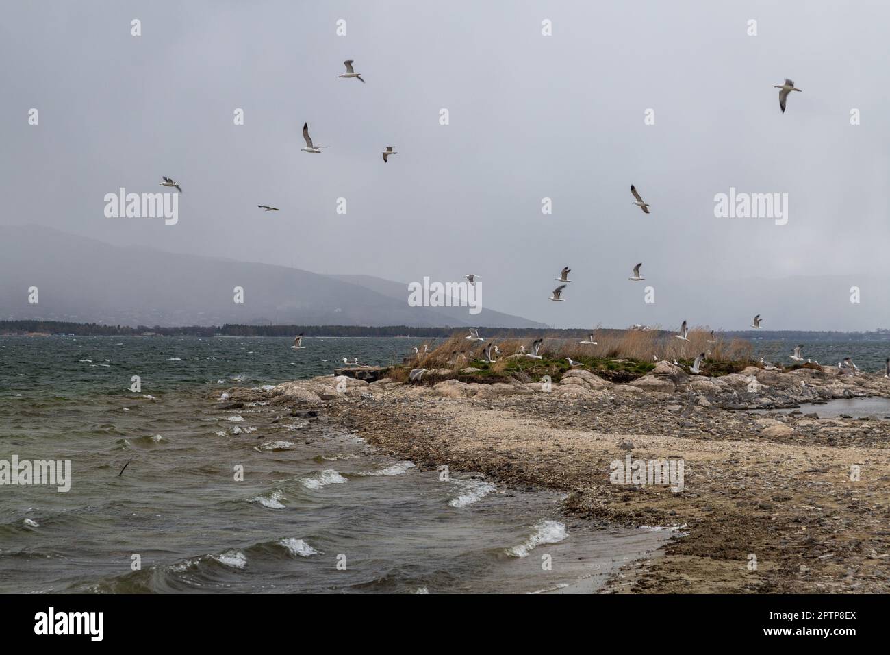 Lake sevan beach hi-res stock photography and images - Alamy
