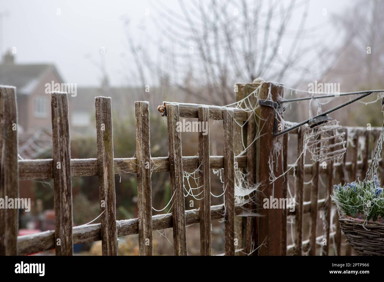 Frosted garden fence hi-res stock photography and images - Alamy