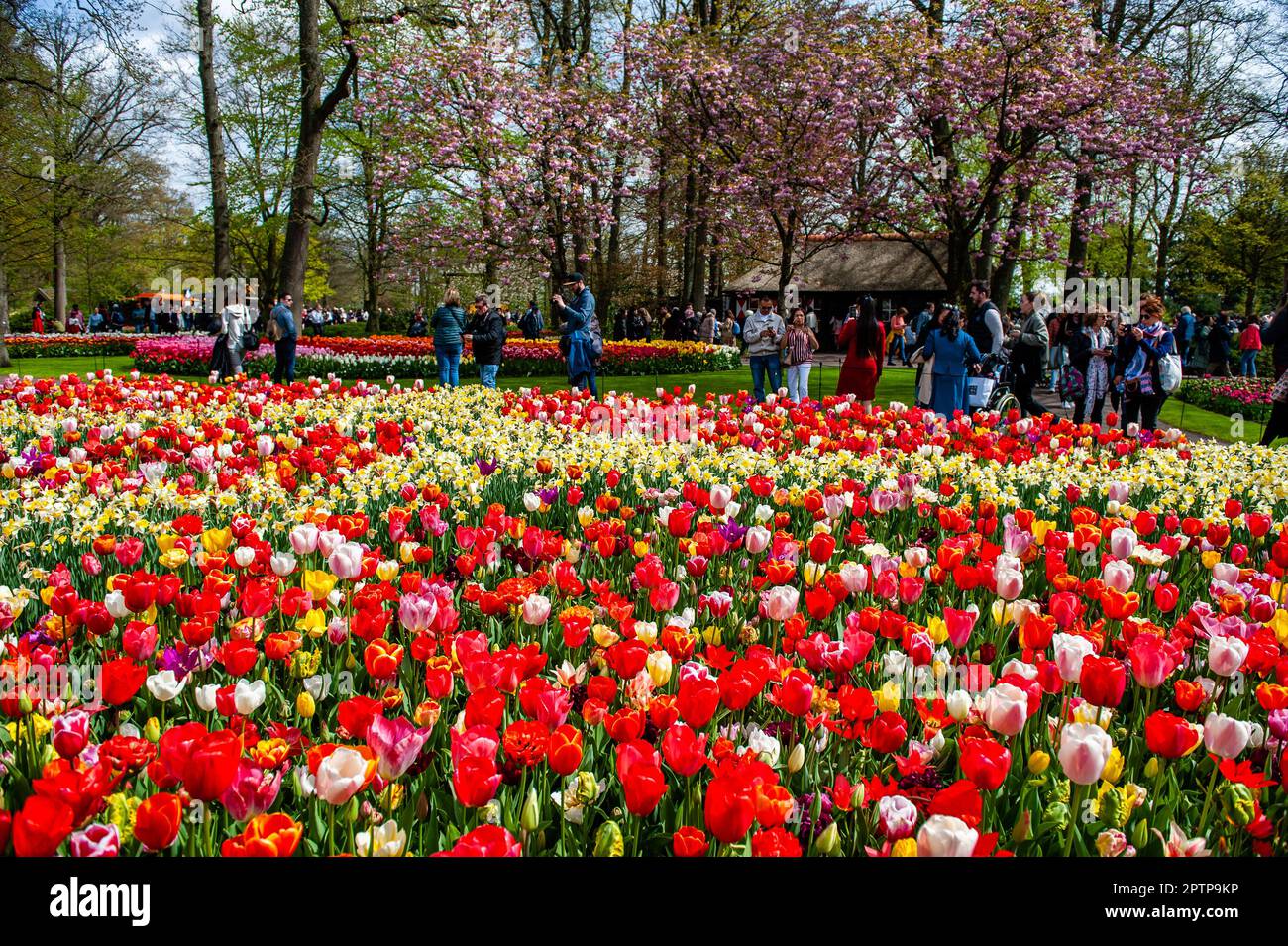 April 23rd, Lisse. Keukenhof is also known as the Garden of Europe one ...