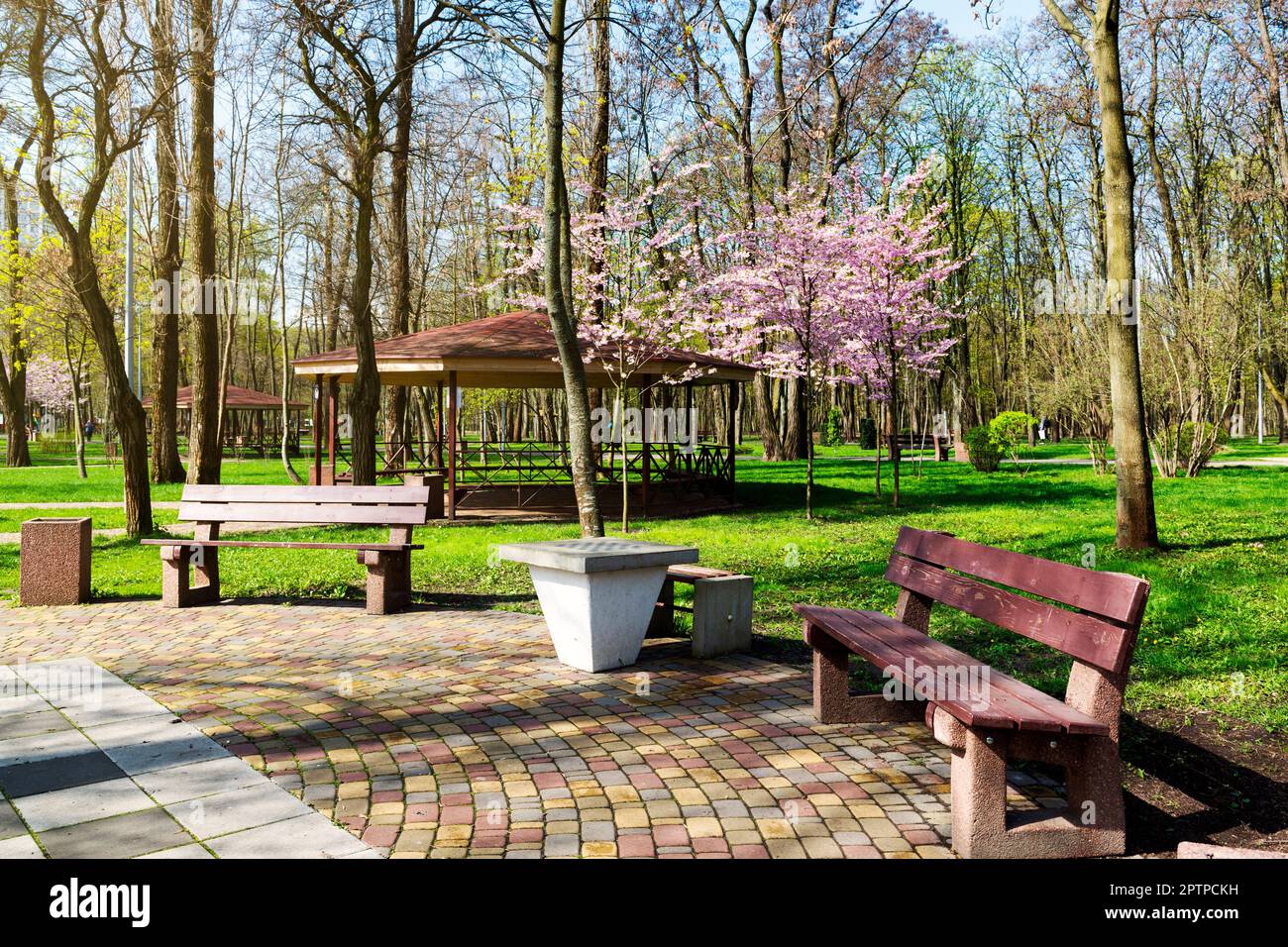 Benches and gazebos for resting in a beautiful sunny spring park Stock ...