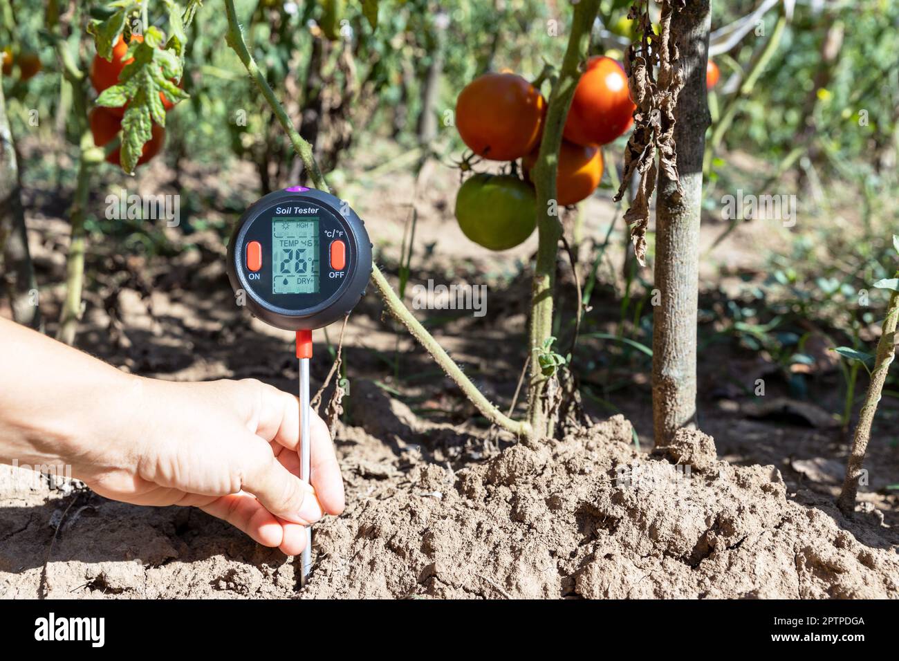 Soil temperature, moisture content, environmental humidity and ...
