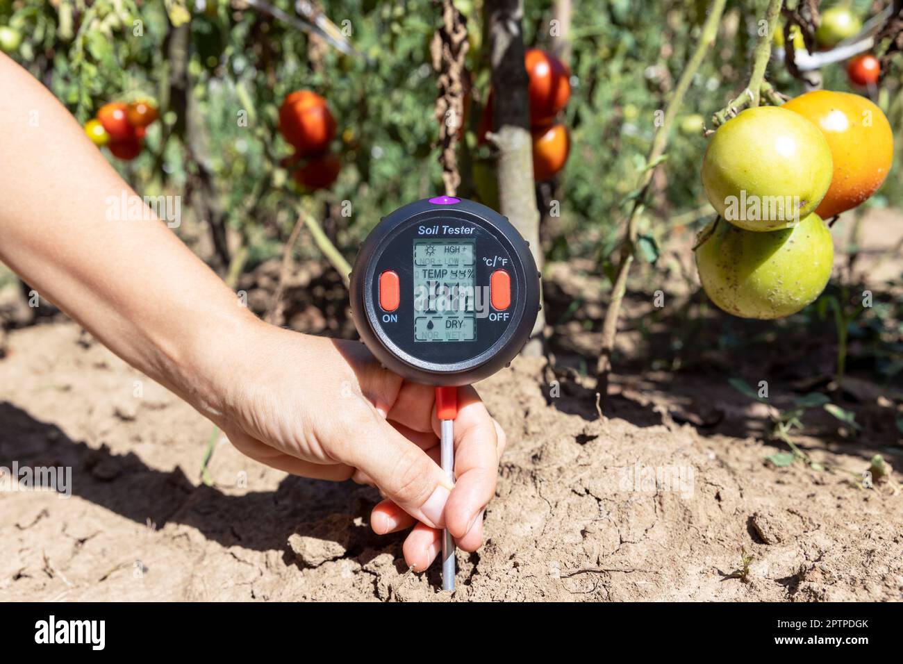 Soil temperature, moisture content, environmental humidity and ...