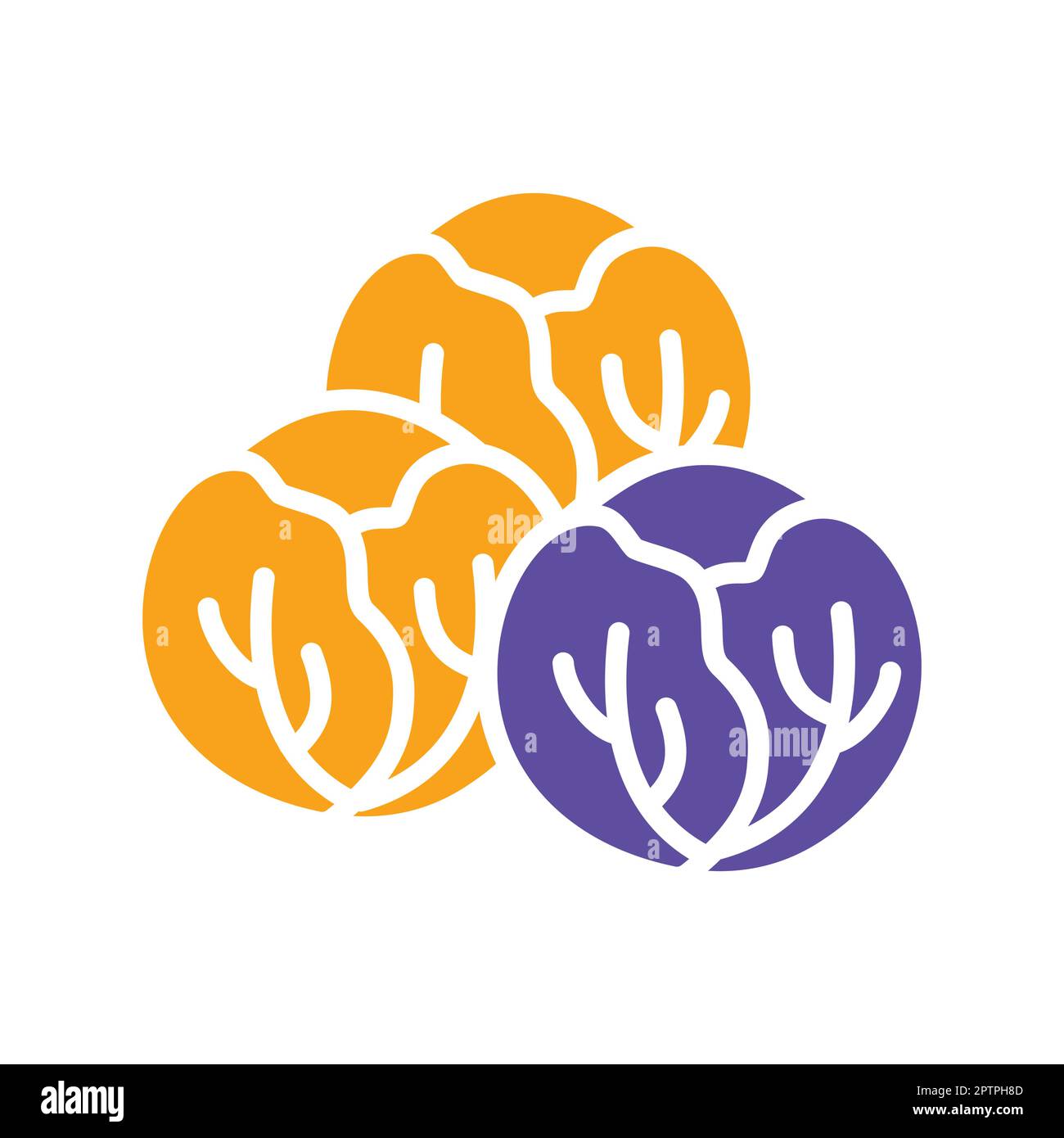 Brussels sprout crop Stock Vector Images - Alamy