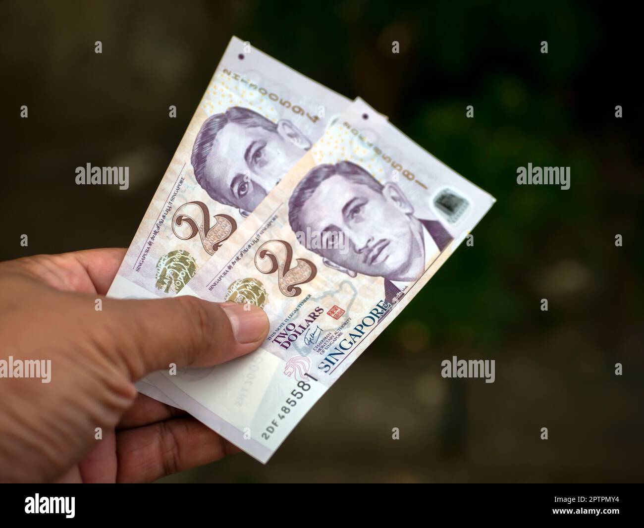 An Asian child holds 2 Singapore dollar banknotes, shallow focus Stock ...