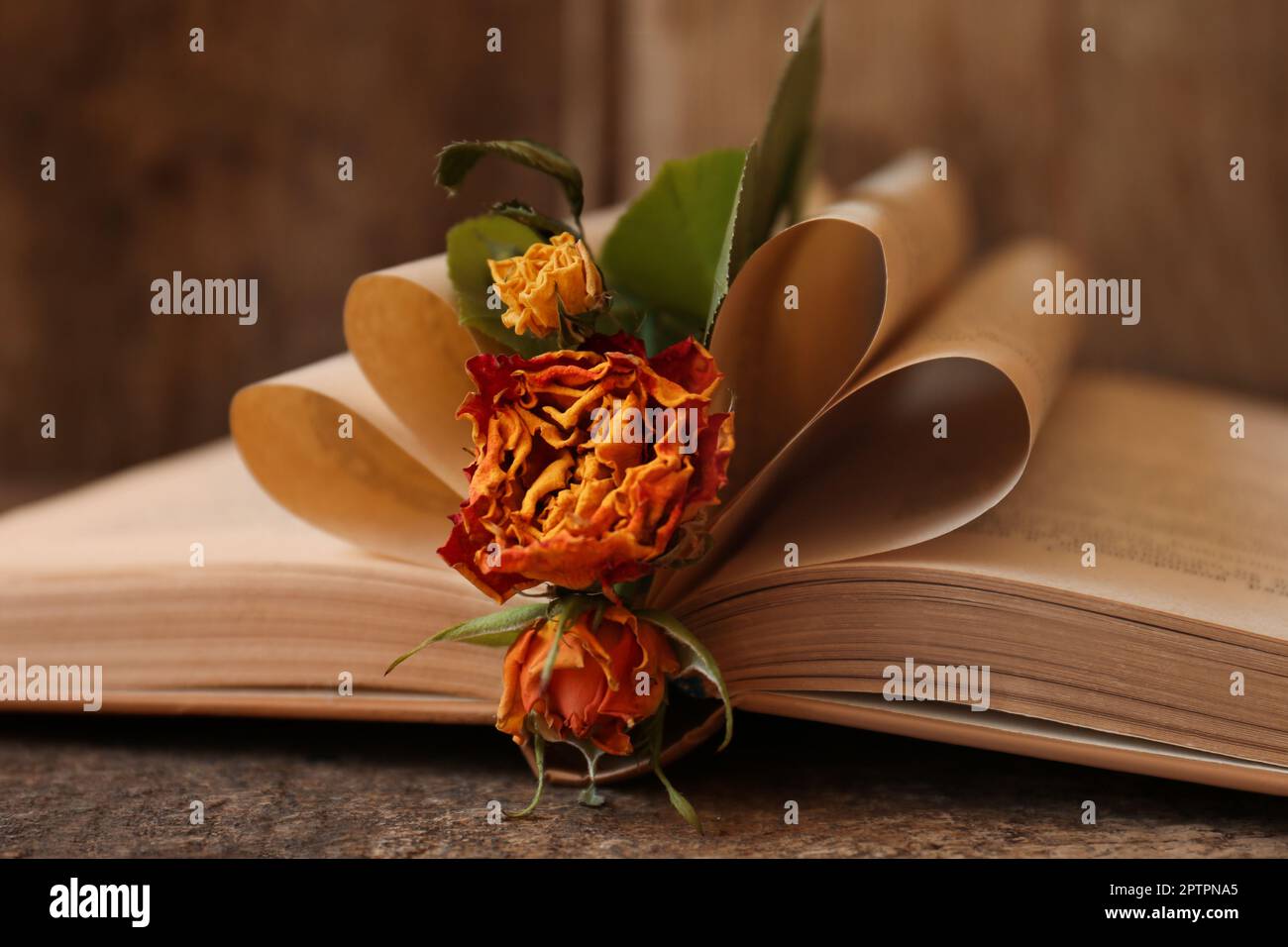 Open book with folded pages and beautiful dried flowers on wooden table ...