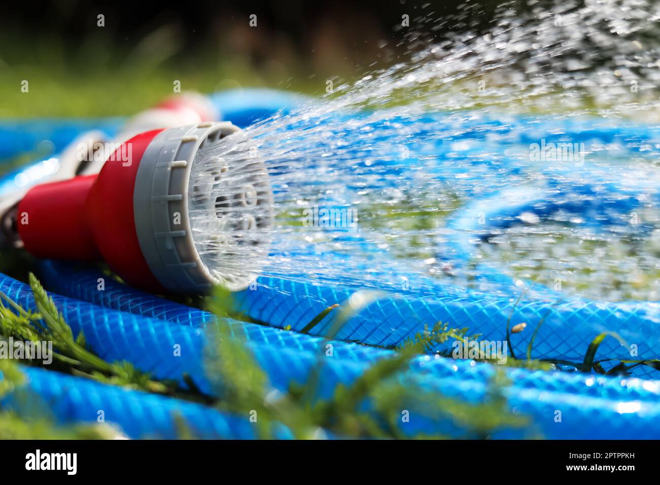 Water spraying from hosepipe sprinkler hi-res stock photography and ...