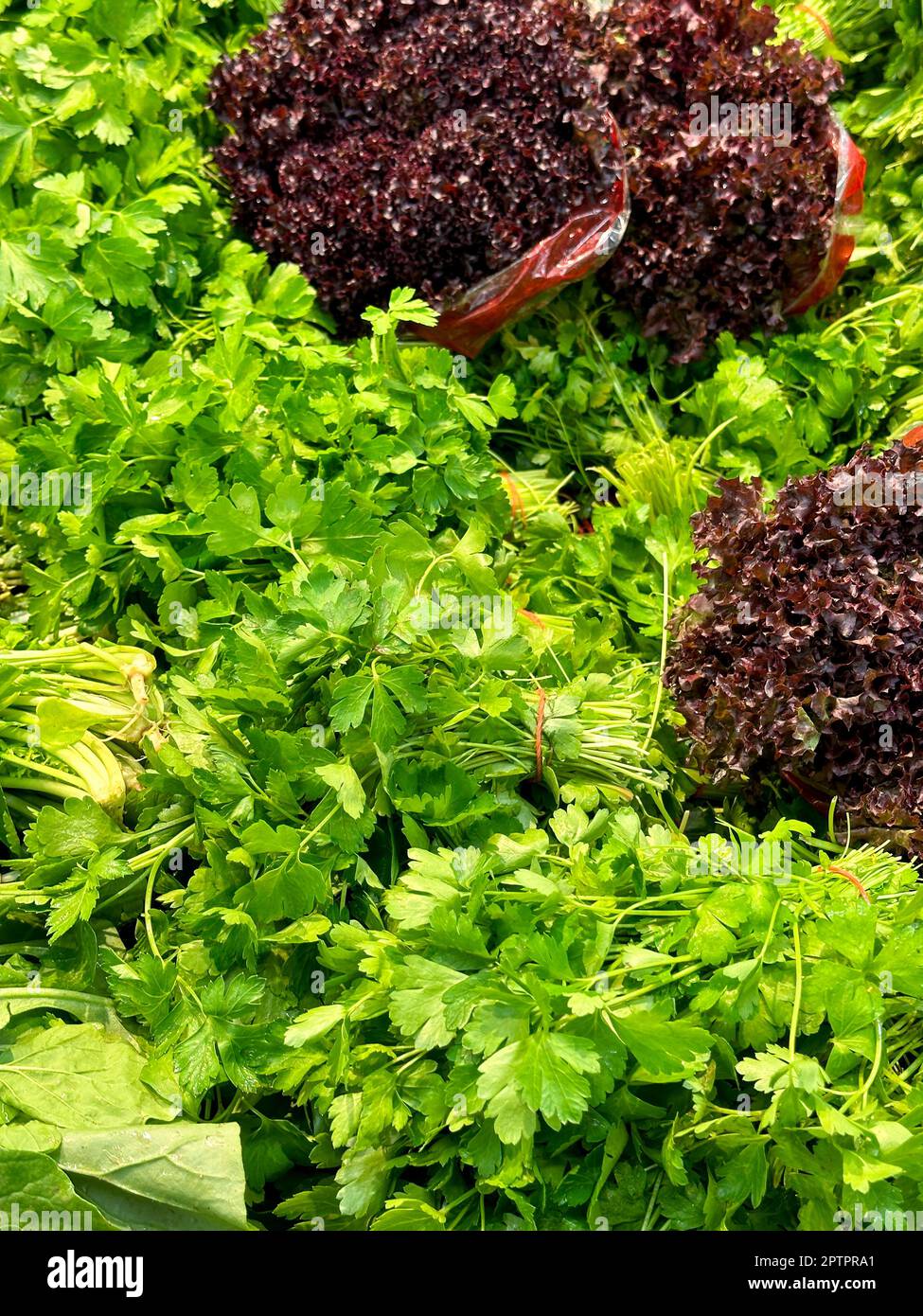 Fresh Green Vegetables Background. Dark leafy food background with ...