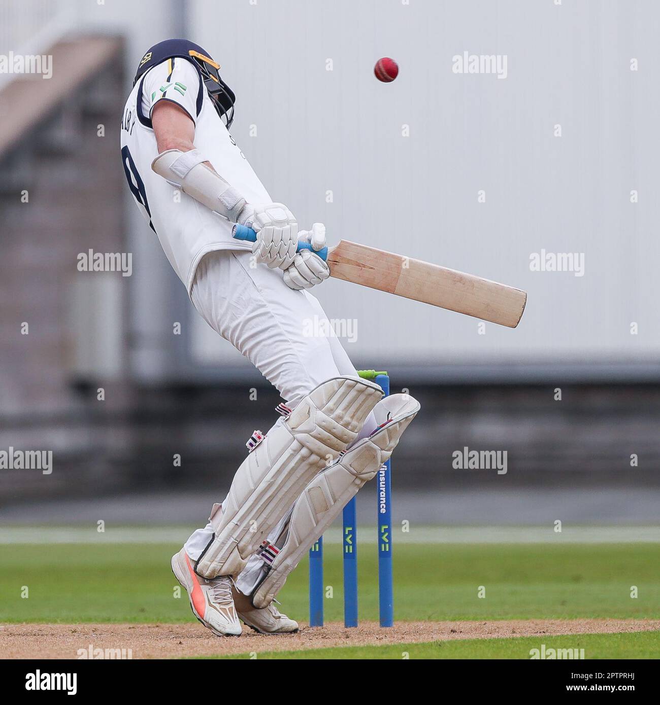 Surreys dan worrall hi-res stock photography and images - Alamy