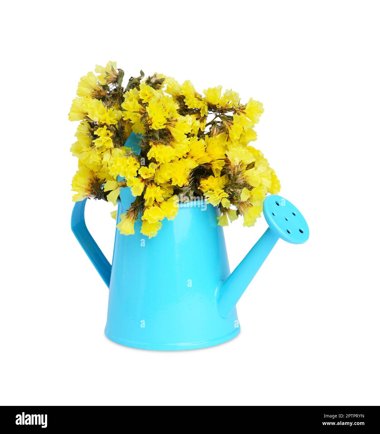 Beautiful bouquet of wildflowers in watering can isolated on white ...