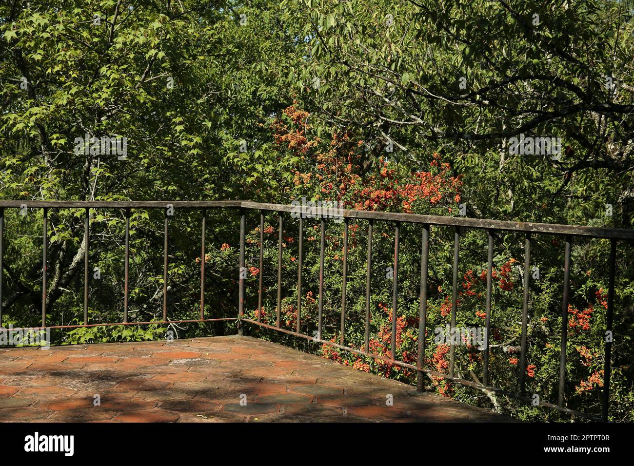 Hand railings hi-res stock photography and images - Alamy