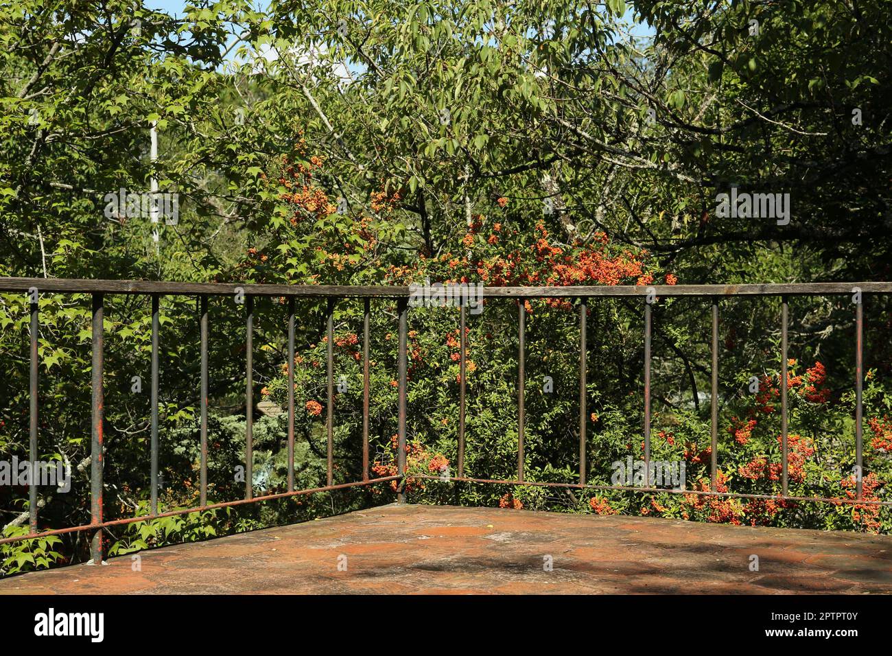 Hand railings hi-res stock photography and images - Alamy