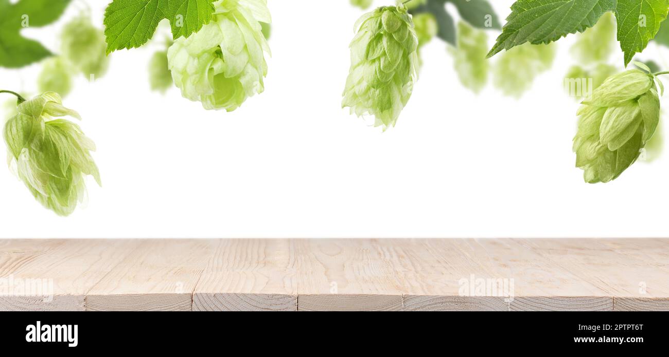 Branches of fresh green hops and empty wooden surface on white ...