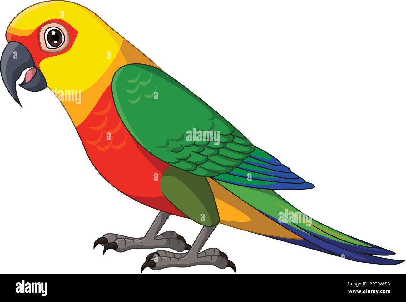 Cartoon Conure Jenday Parakeet on White Background Stock Vector Image ...