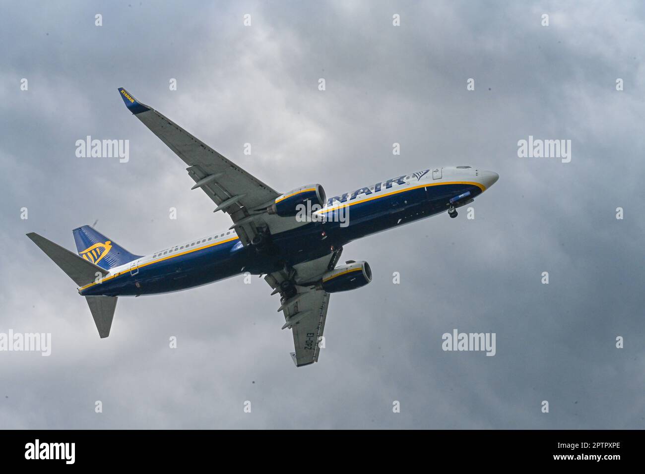 Ryanair airplane from the underside flying overhead with its landing ...
