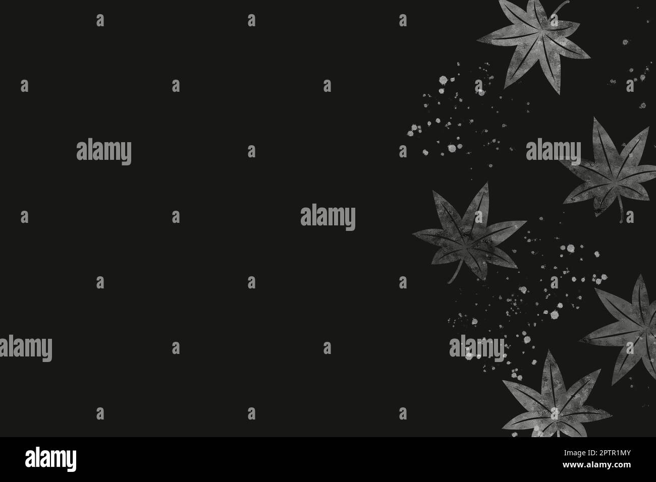 Silver Japanese maple leaf pattern and splash on black background ...