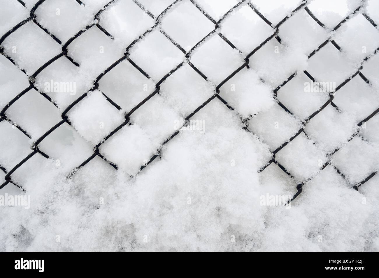 The fence is covered in snow. Snow sticking to a metal fence Stock ...