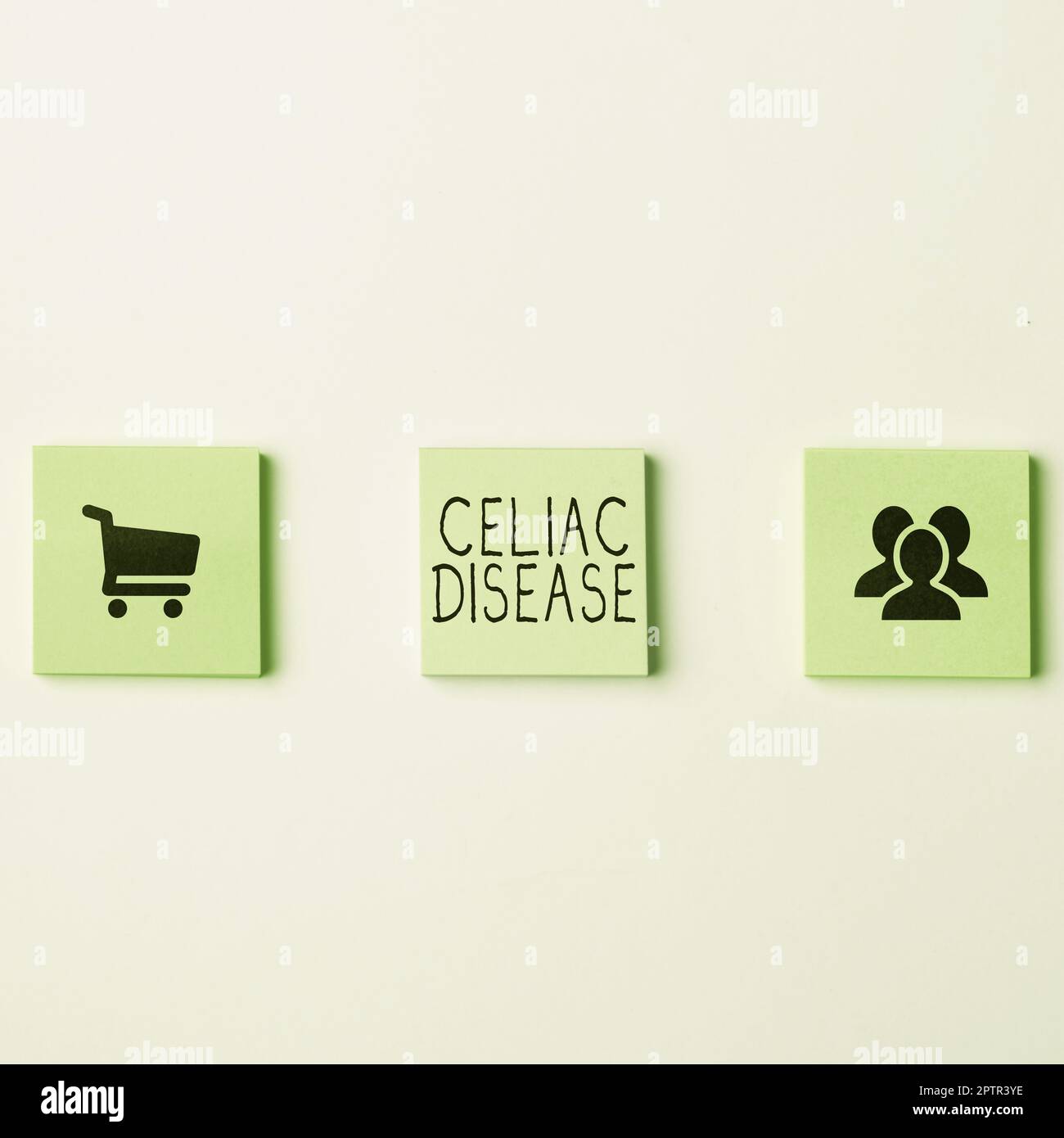 Coeliac anatomy hi-res stock photography and images - Alamy