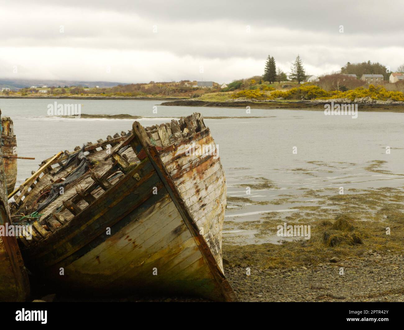 Old boat hulls at Salen, Isle of Mull Stock Photo - Alamy