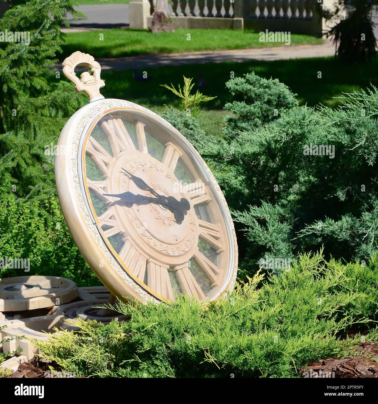 Street clock in a park under branches of trees covered with green ...