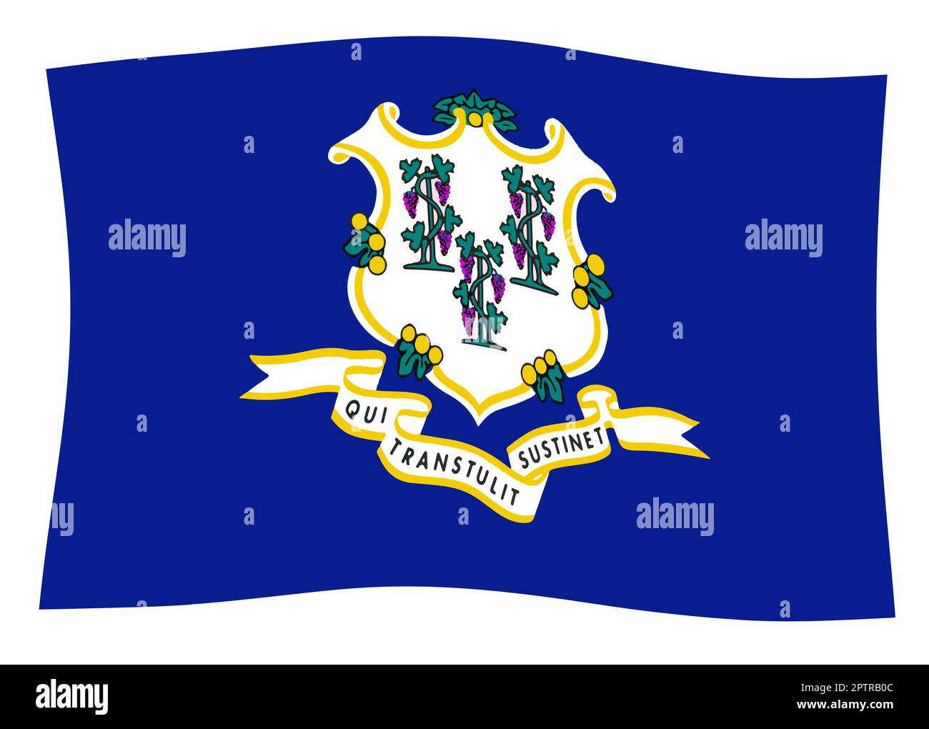 The seal of the USA state of Connecticut over a white background waving ...