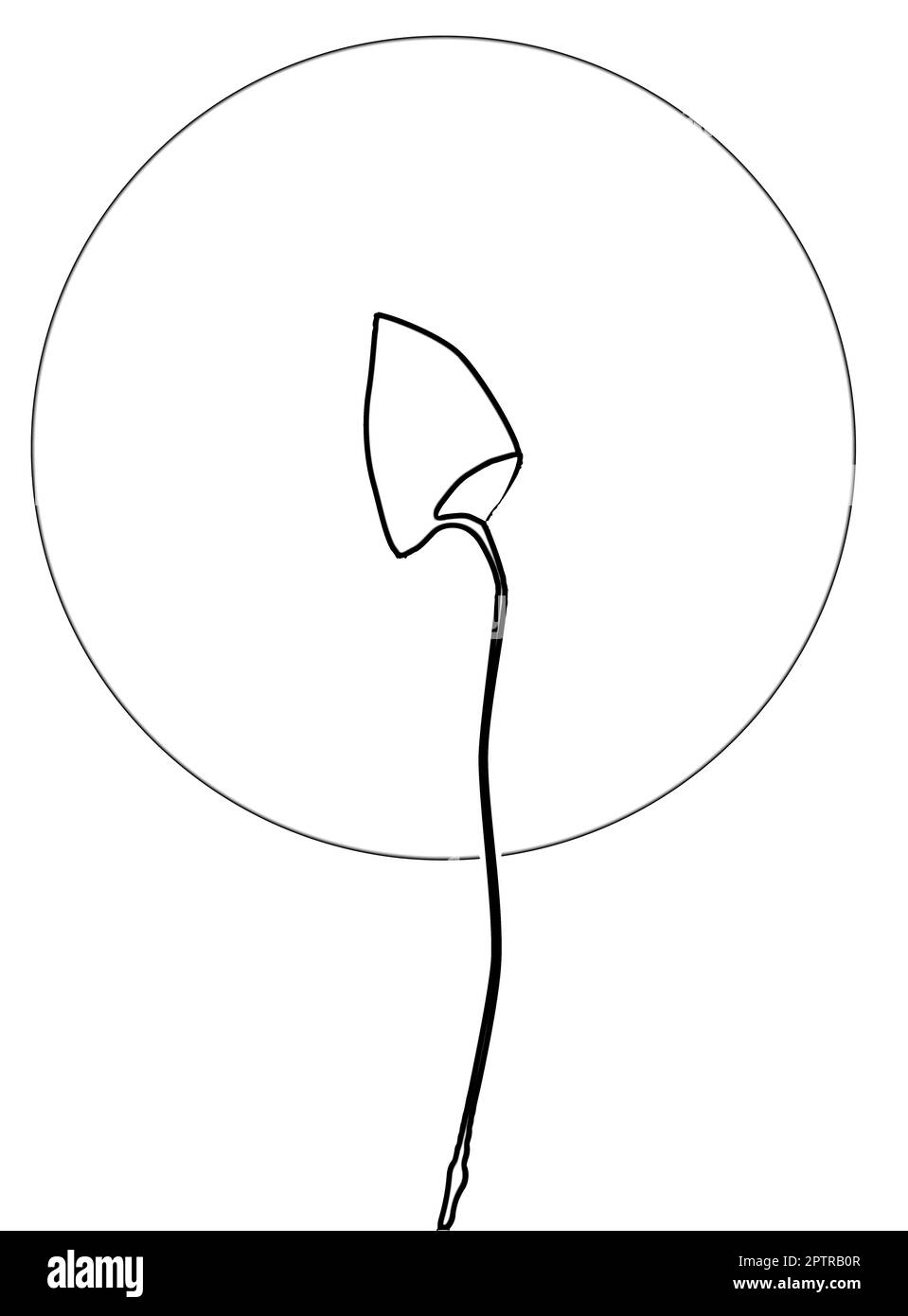 A magic mushroom silhouetted outline against a white background and a ...