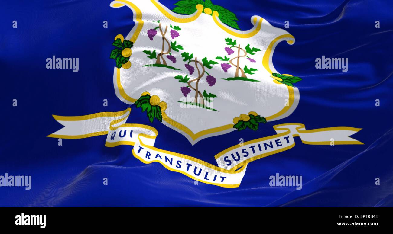 Close-up view of the Connecticut State flag waving in the wind. Fabric ...