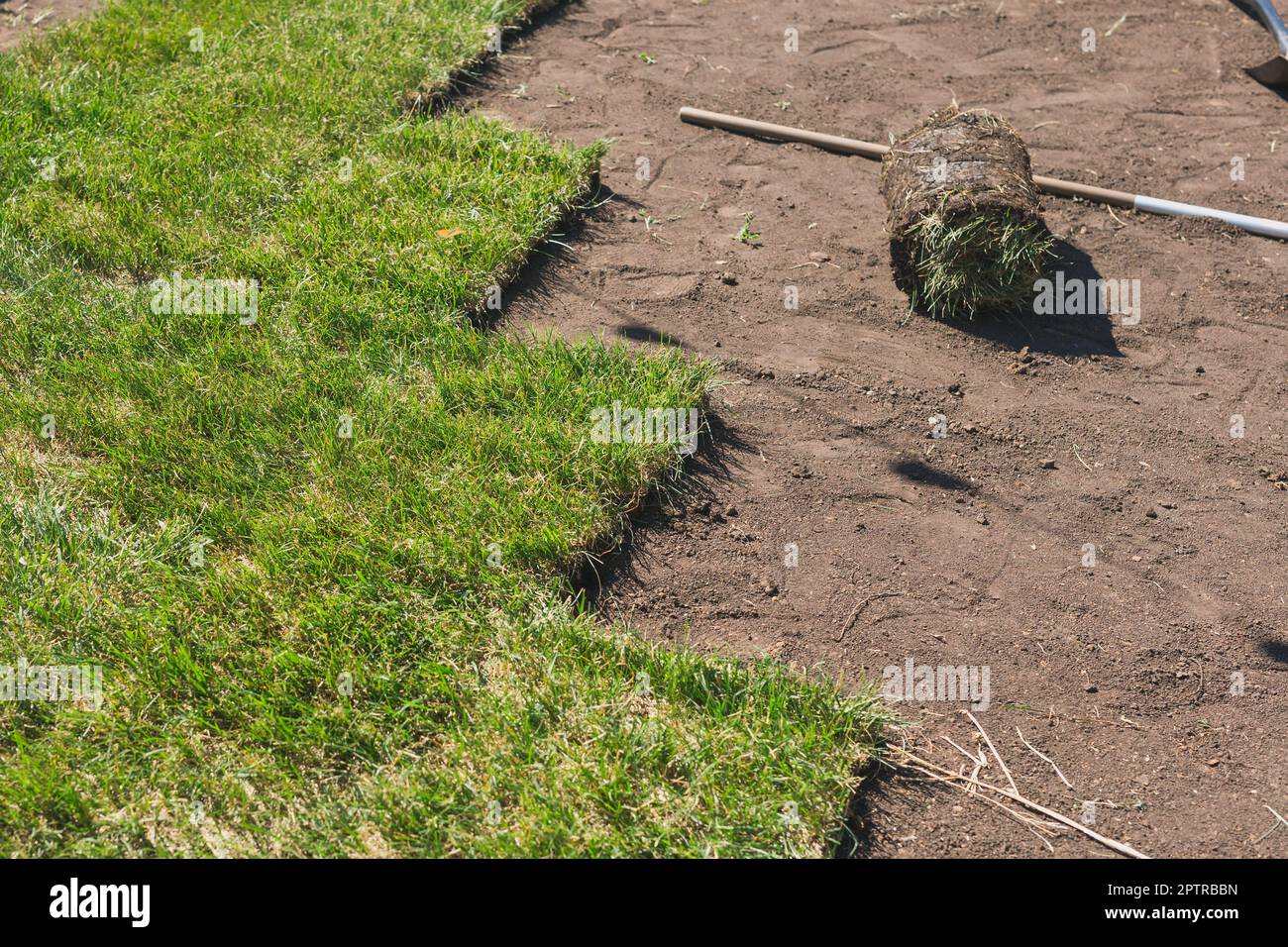 Laying sod for new garden lawn - turf laying Stock Photo - Alamy