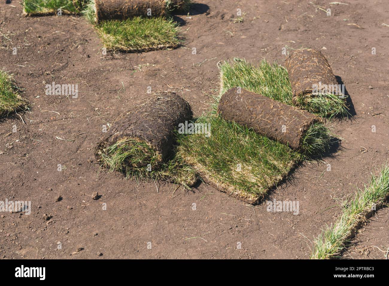 Laying sod for new garden lawn - turf laying Stock Photo - Alamy