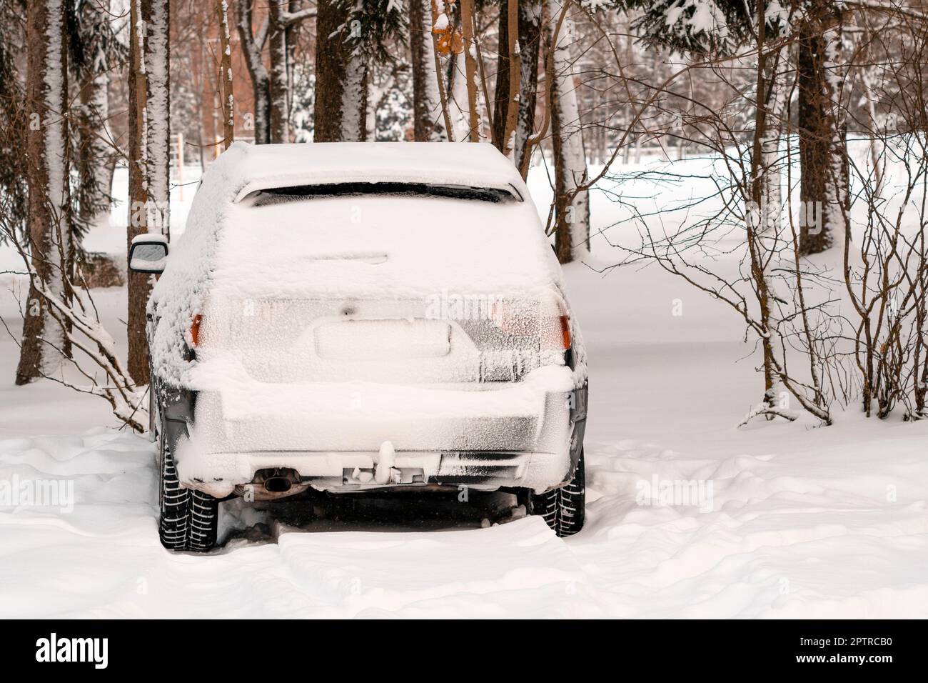 The back of the car is covered with snow. Snowfall, cold, winter Stock ...