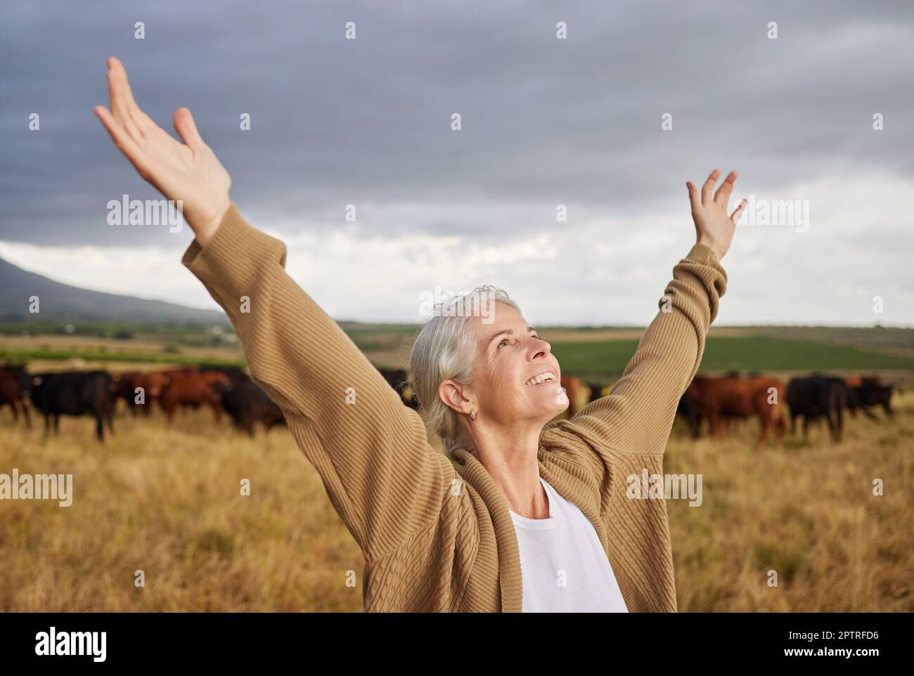 Sky, freedom and relax woman on countryside farm field standing on ...