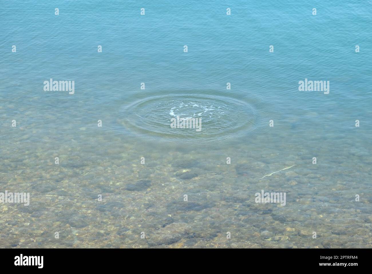 Round droplets of water over the circles on the water. Water drop ...