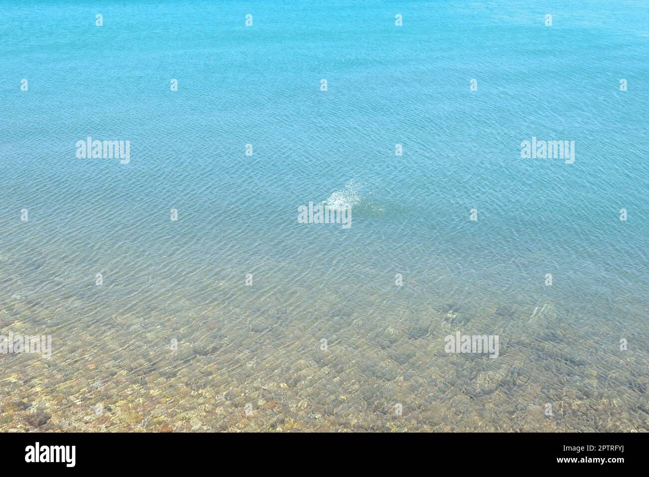 Throw stone in the clean water, splash of water, splashing away from ...