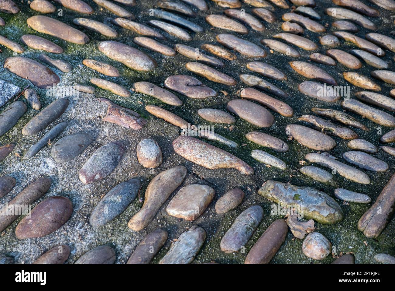 detail of a cobblestone floor with pebbles Stock Photo - Alamy