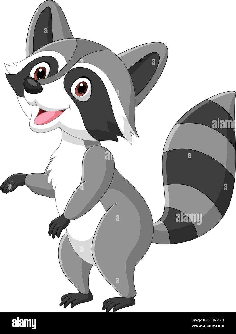 Cute raccoon cartoon on white background Stock Vector Image & Art - Alamy