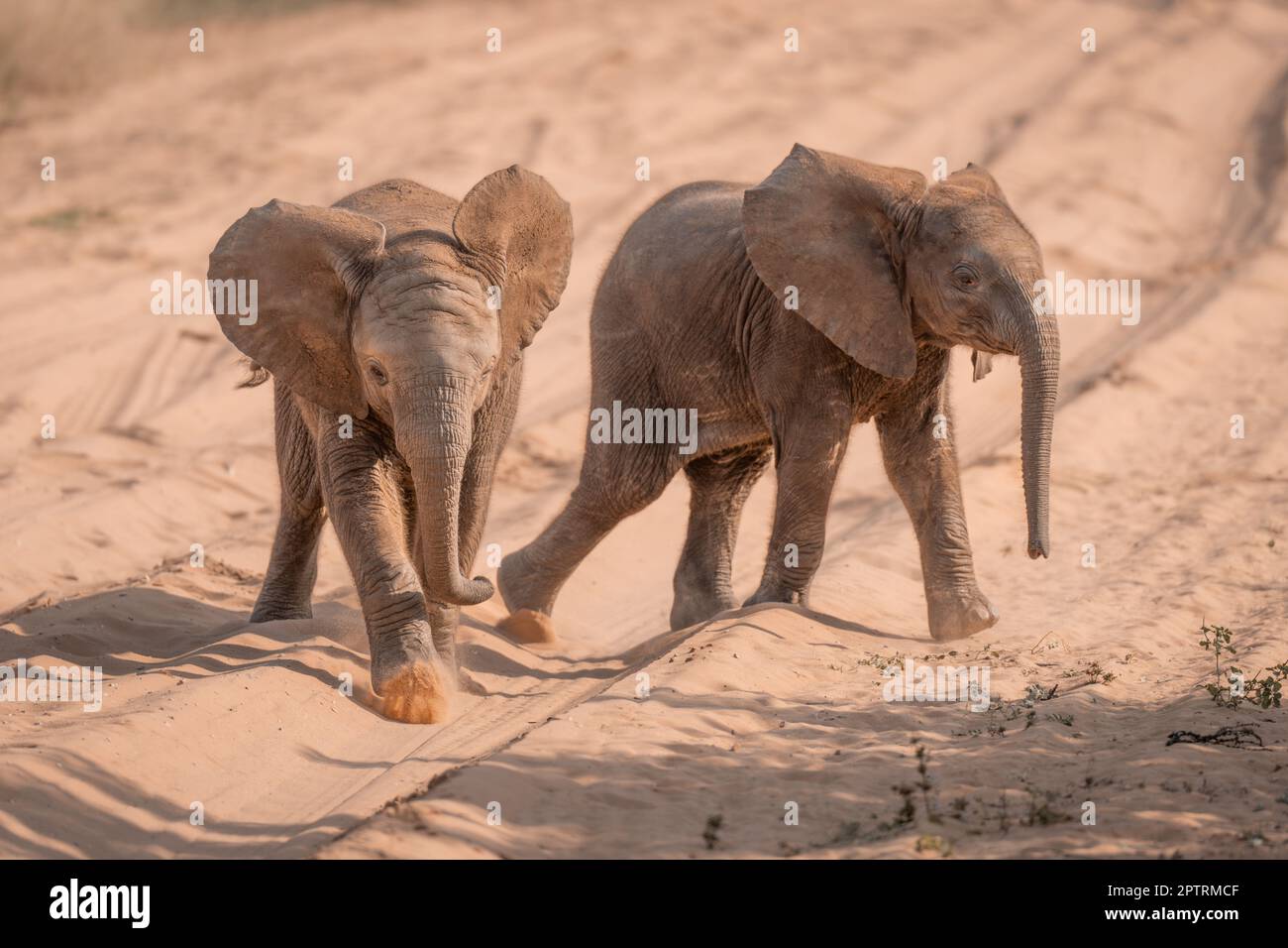 Couple with baby cross hi-res stock photography and images - Alamy