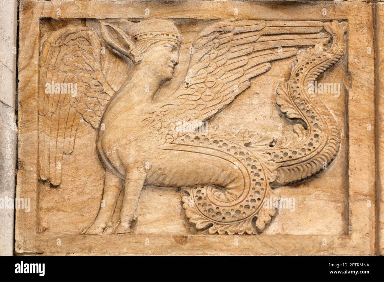 Harpy History