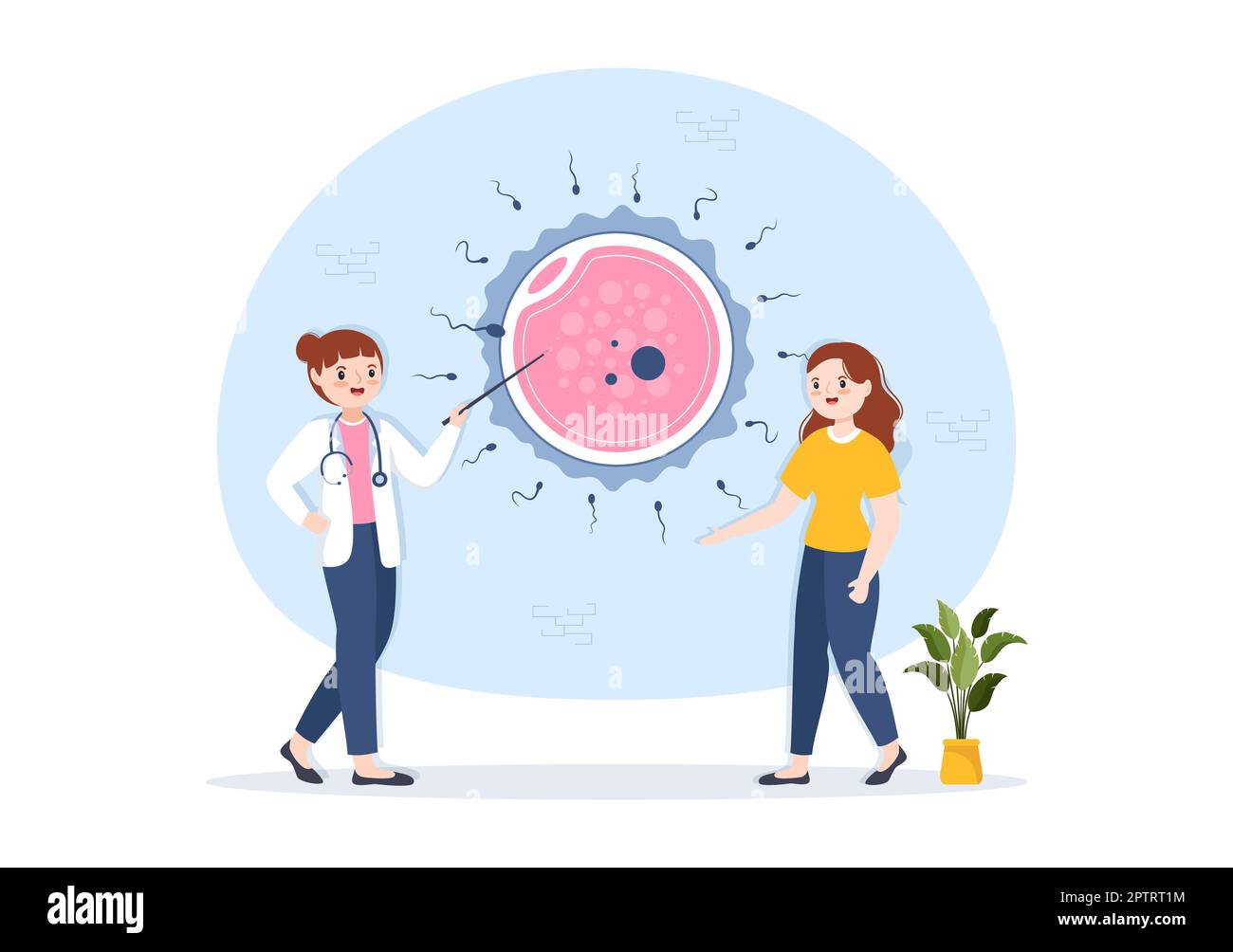 Vitro fertilization program hi-res stock photography and images - Alamy